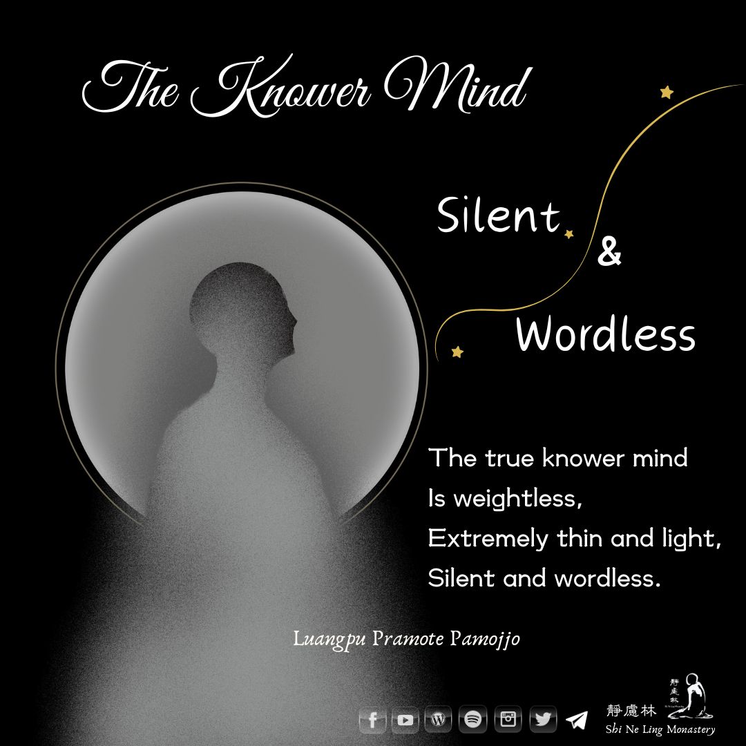 The Knower Mind, Silent and Wordless｜Luangpu Pramote Pamojjo - 靜慮林
